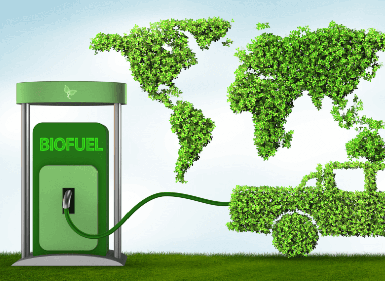 Biofuels and bioplastics advance with new ways for microbes to make ...